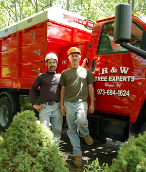 R & W Tree Experts | Wayne NJ | Ringwood | Tree Specialists | Arborists